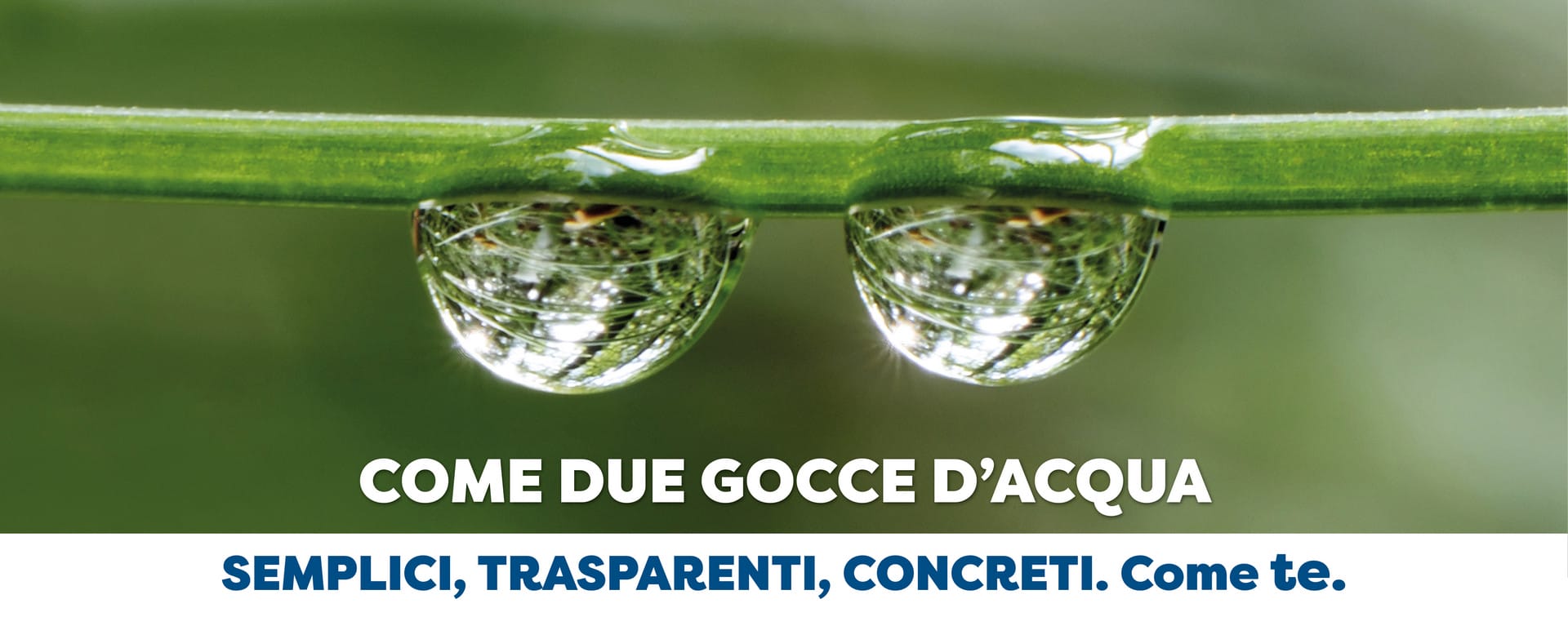 Acquambiente Marche - Come due gocce d’acqua